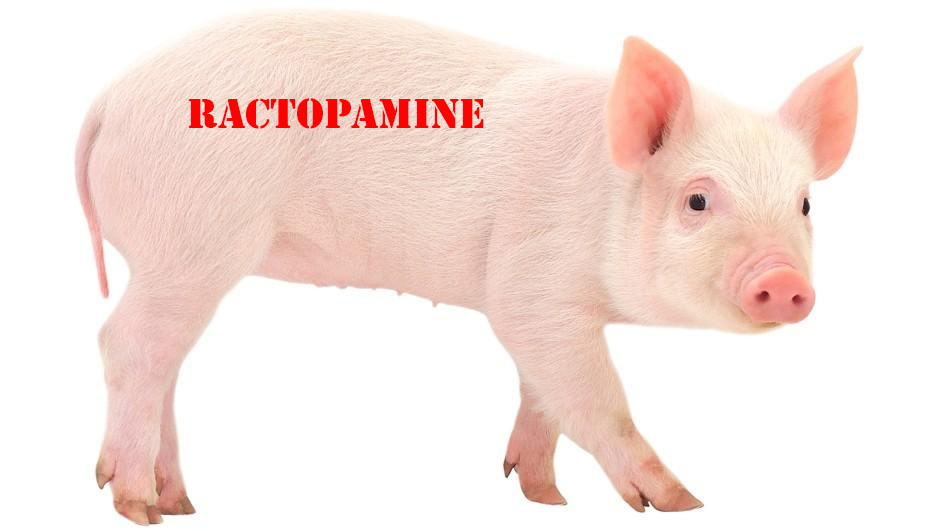 The Fight Over Food Labeling - Ractopamine In Pork